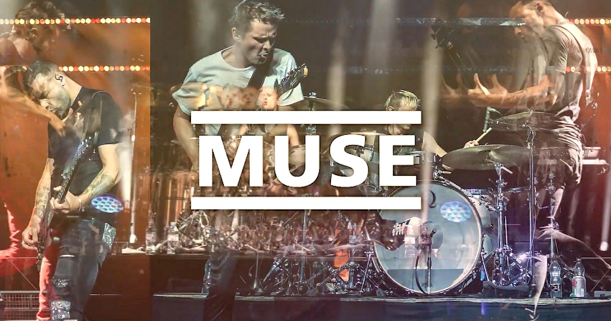 Check de trailer voor 'Aal' en 'GAARTJE' presenteren MUSE | Pop- en Cultuurhuis PX